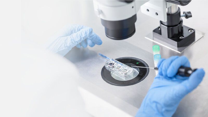 ICSI Treatment with a High Success Rate for Getting Pregnant ...