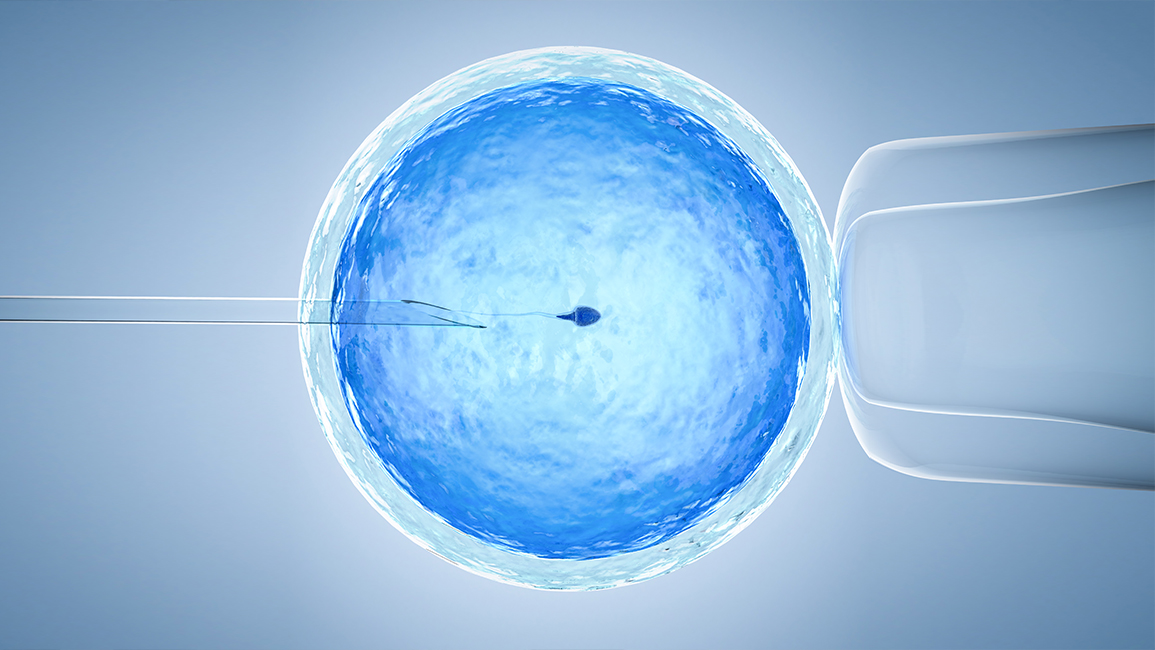 IVF and ICSI | NAKORNTHON HOSPITAL